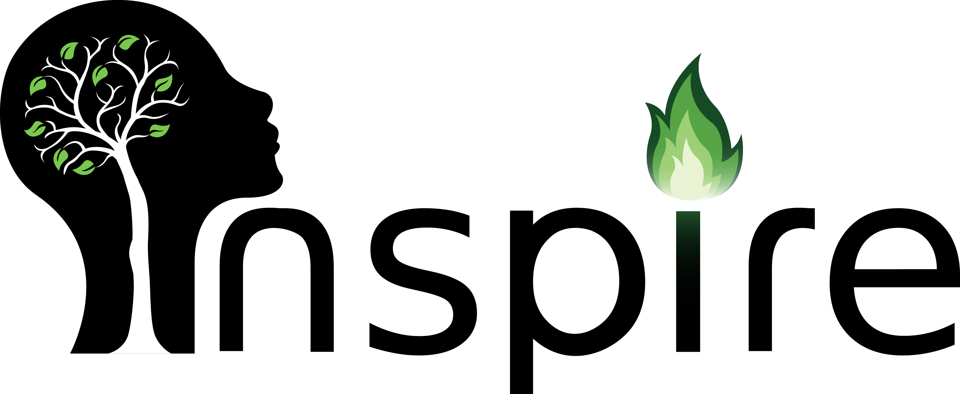 Inspire, Llc - Spyder Ico Clipart - Full Size Clipart (#3182871 ...