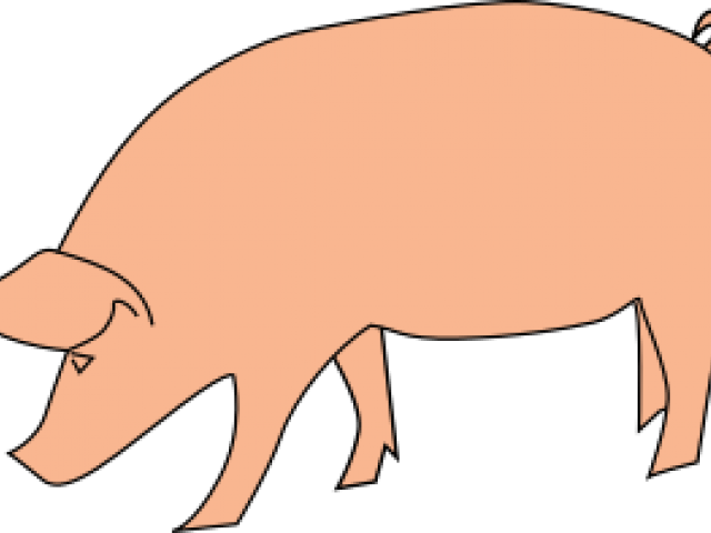 Pork Clipart Baboy - Swinia Rysunek - Png Download - Full Size Clipart ...