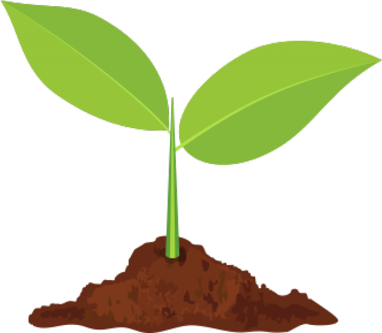 Download Sprout Slider - Illustration Clipart (#3185491) - PinClipart