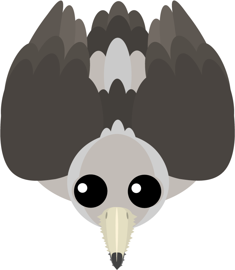 Download Thats Twice As Large As The Living Flying Bird With - Mope Io ...