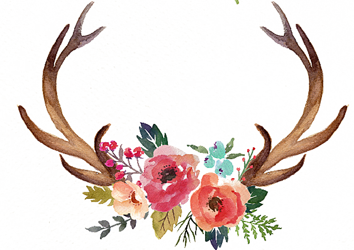Freeuse Stock Deer Antler Moose Clip - Antlers With Flowers Clipart ...