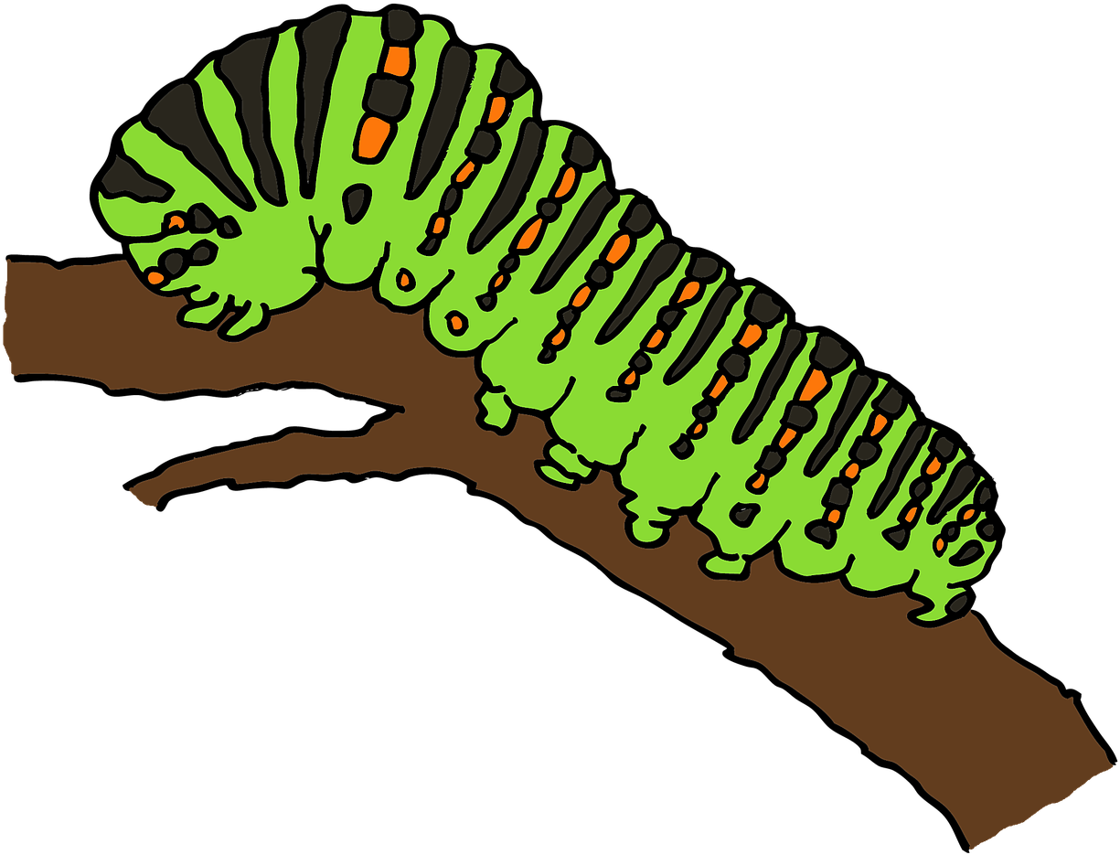 Caterpillar Clipart Ulat - Caterpillar Clipart - Png Download - Full ...