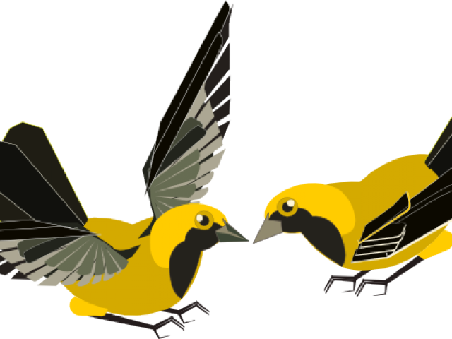 Songbird Clipart Happiness - Clipart Flying Finch - Png Download - Full ...