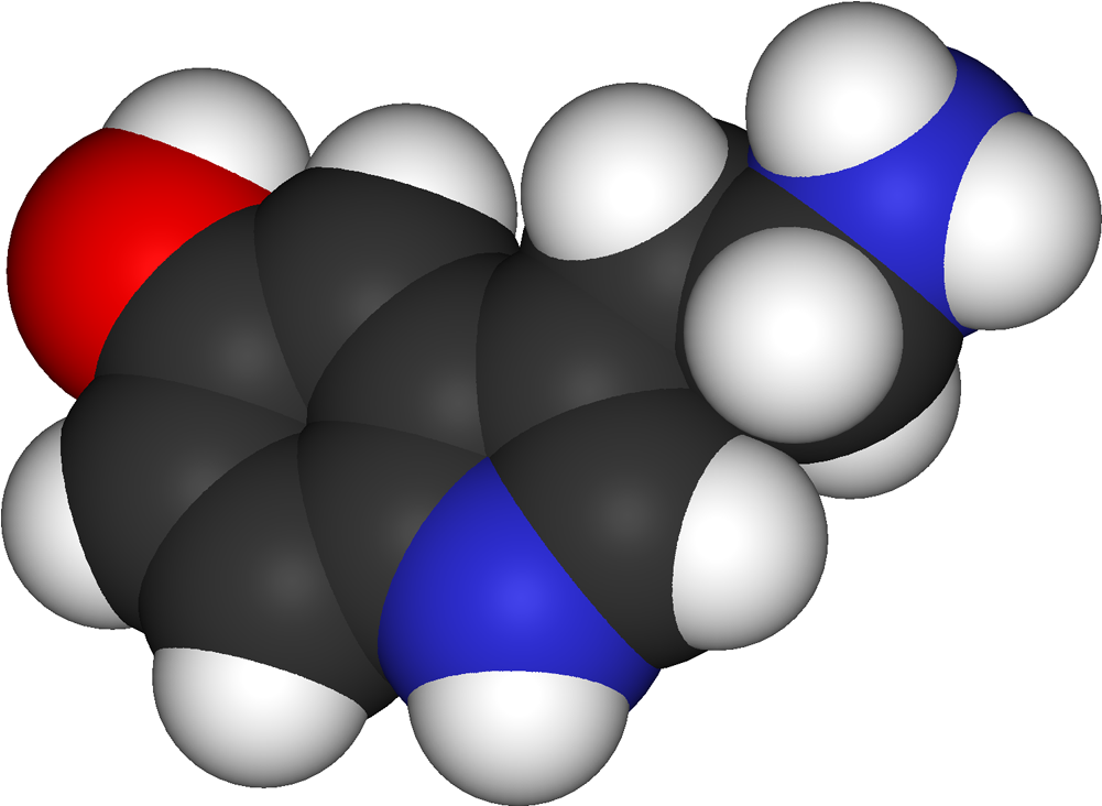 Serotonin 3d Vdw - Serotonin 3d Png Clipart - Full Size Clipart ...