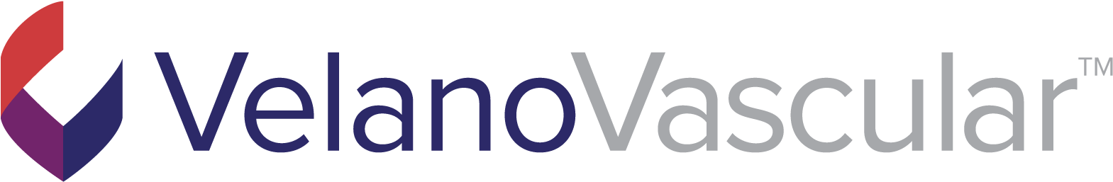 1600 X 324 2 - Velano Vascular Logo Clipart - Full Size Clipart ...