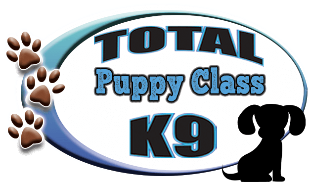 Puppy Class - Illustration Clipart - Full Size Clipart (#3244142 ...