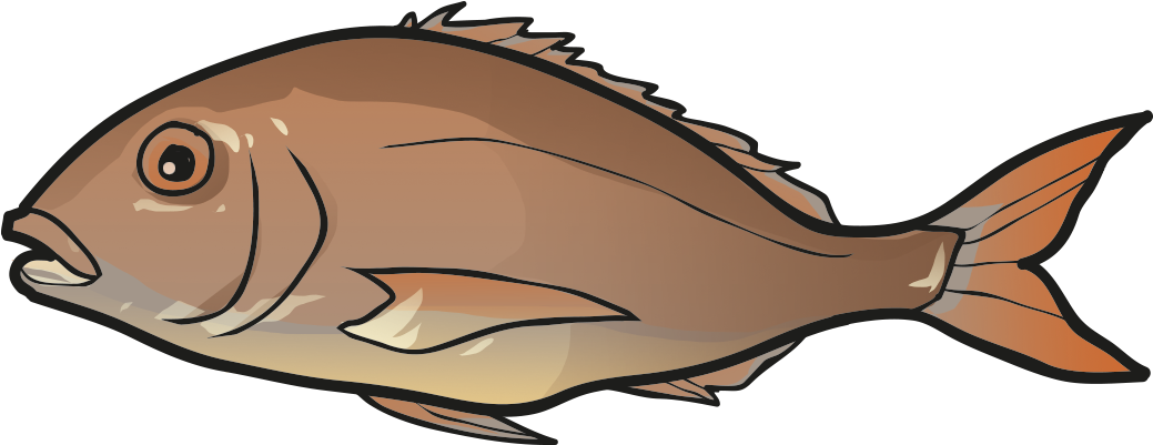 Fish - Halibut Clipart - Full Size Clipart (#3254254) - PinClipart