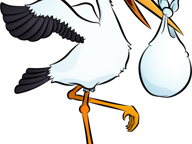 Download Stork Clipart Baby Outline - Baby Stork Art Transparent - Png ...