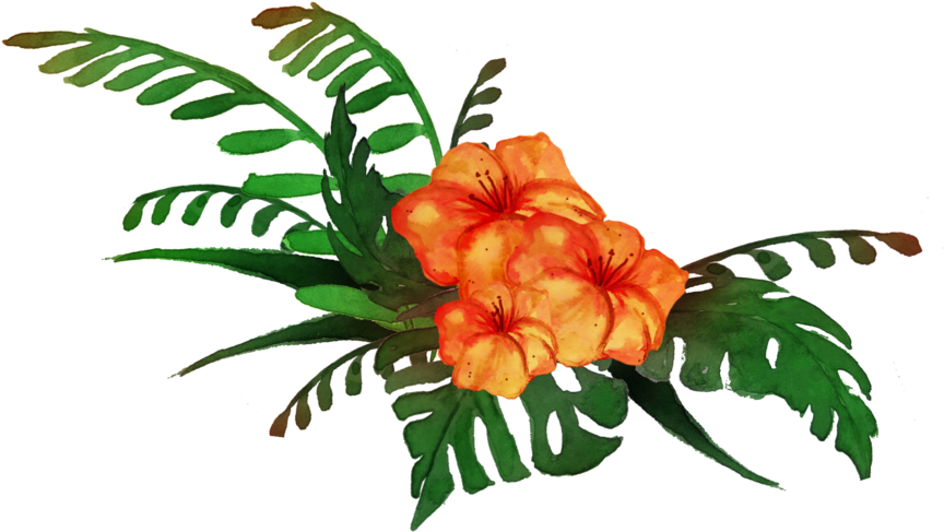 Tropical Clipart - Transparent Tropical Clip Art - Png Download - Full ...