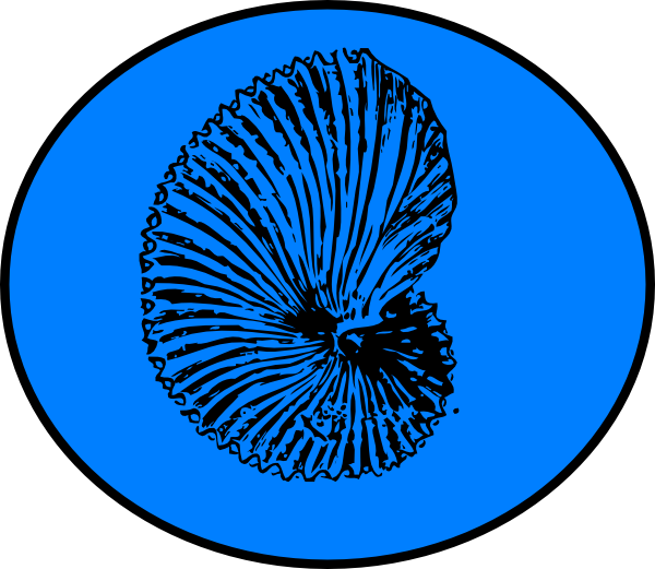 Blue Shell Svg Clip Arts 600 X 521 Px - Png Download - Full Size ...