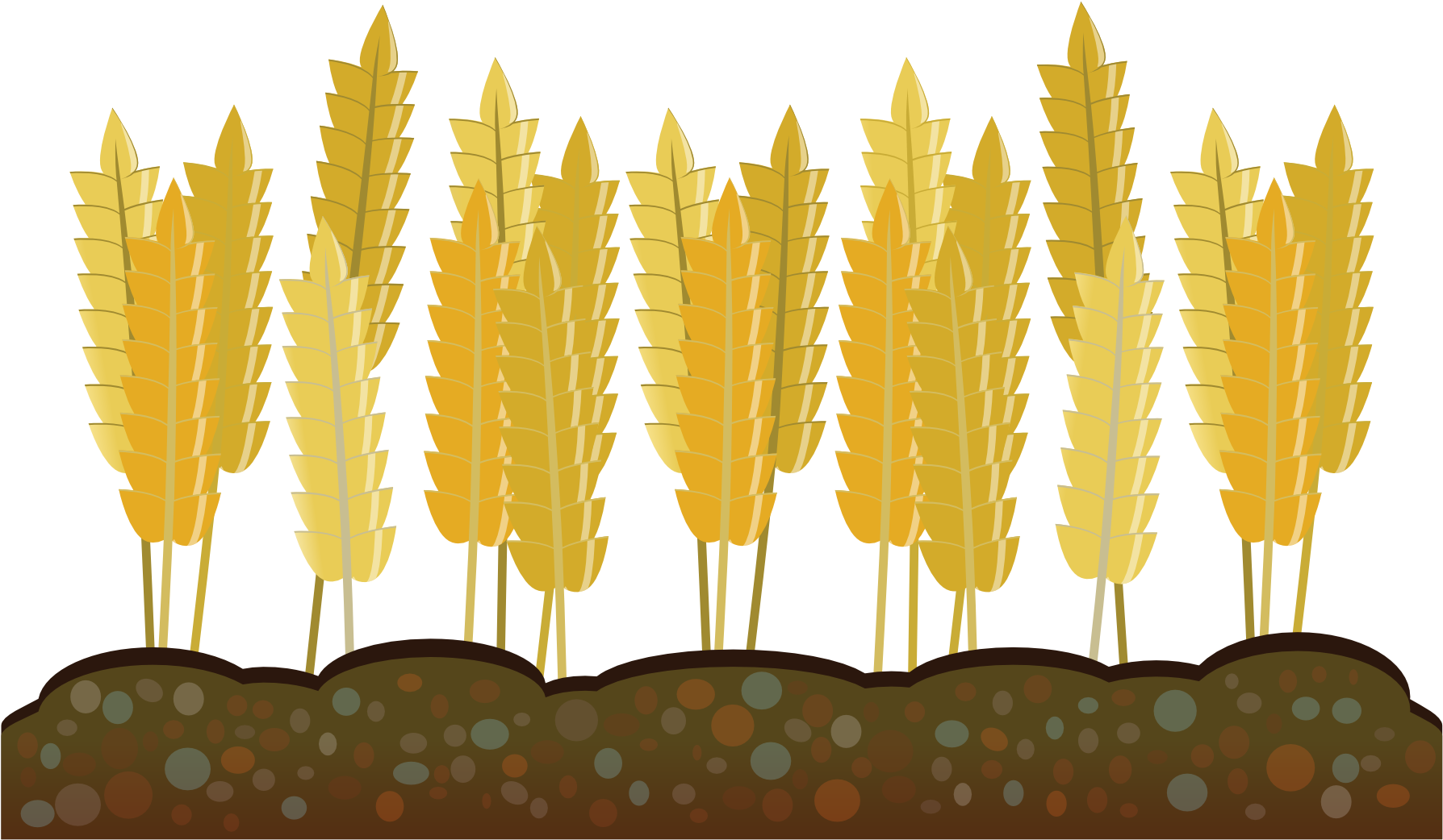 Download Vector Freeuse Agriculture Clipart Crop - Clip Art - Png ...
