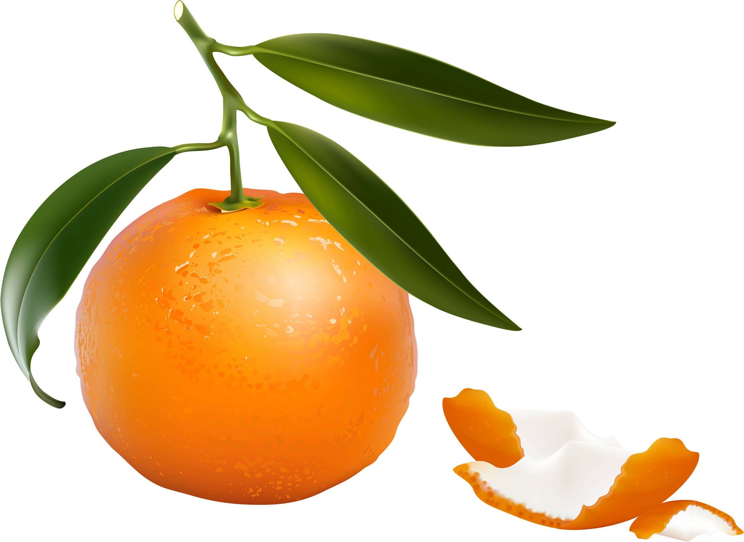 Download Фотки Fruits And Vegetables, Digi Stamps, Carrots, - Tangerine ...