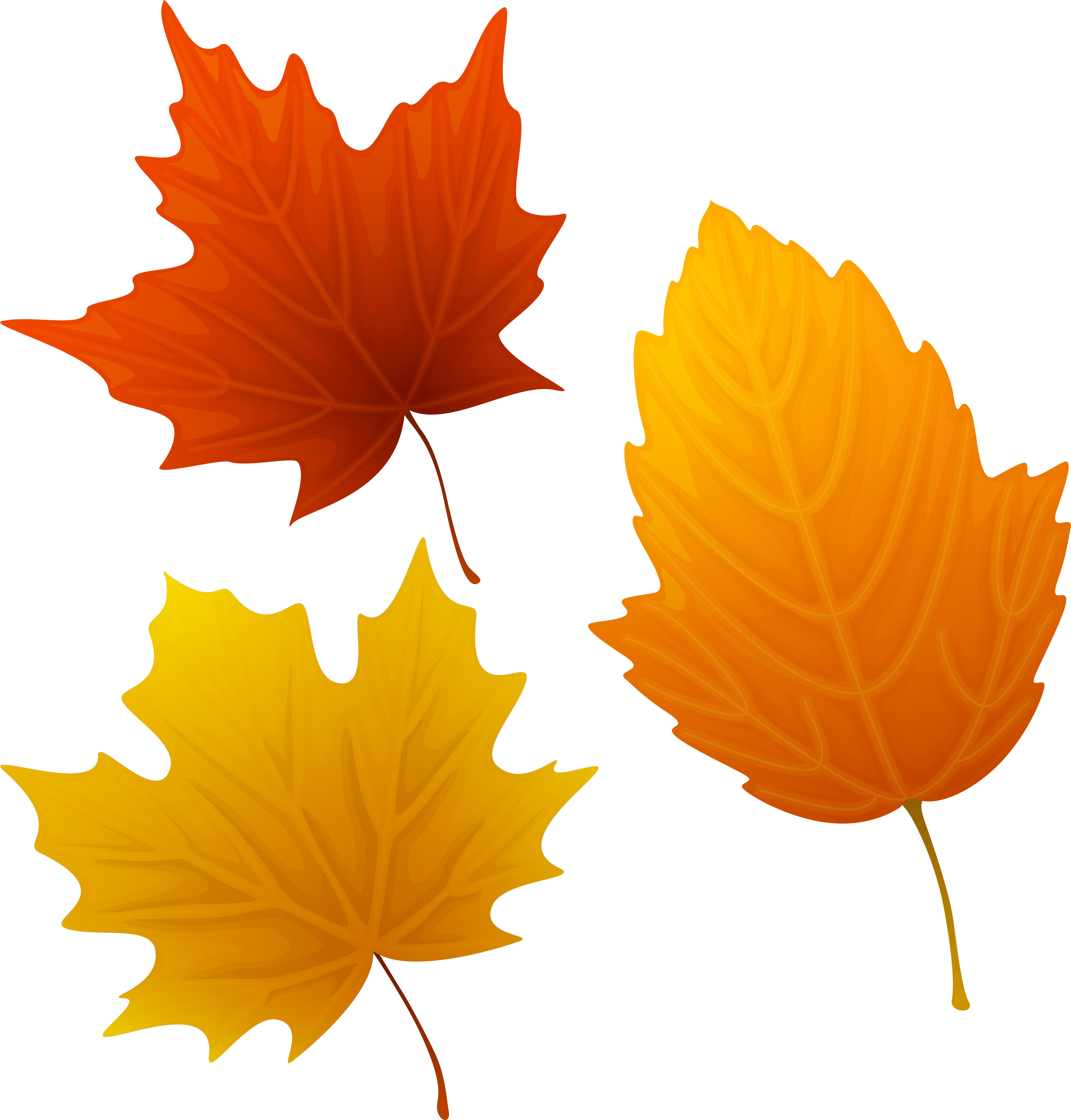 Download Top 88 Autumn Leaves Clip Art - Fall Leaf Clip Art Png ...