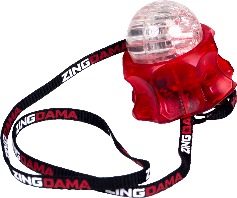 Zing Dama Toy Clipart - Full Size Clipart (#3308628) - PinClipart