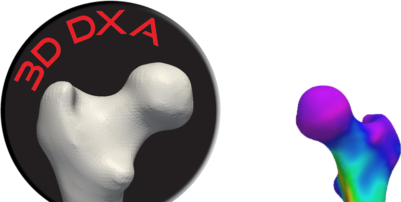 3d-dxa - 3d Dxa Clipart - Full Size Clipart (#3358566) - PinClipart