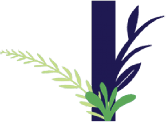 Sea Grass Clipart Damo - Png Download - Full Size Clipart (#3373417 ...