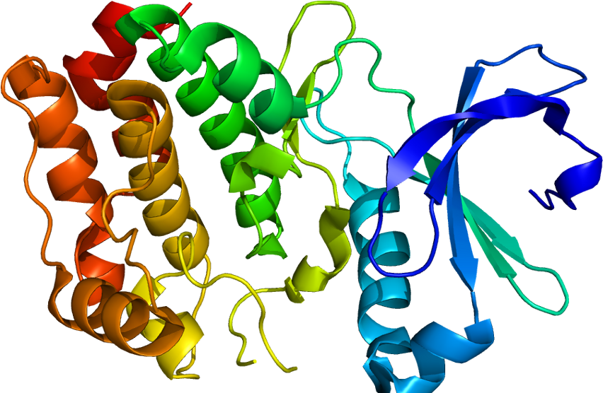 Rac Beta Serine/threonine Protein Kinase Market - Aurora A Kinase ...