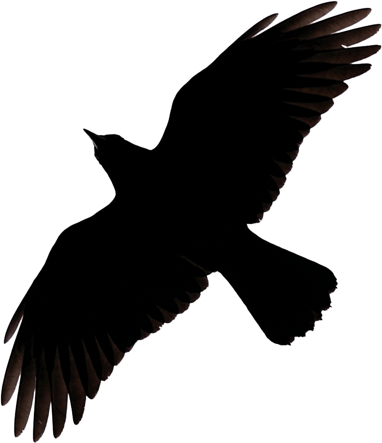 Flying Crow Raven Clip Art - Raven Flying Silhouette - Png Download ...