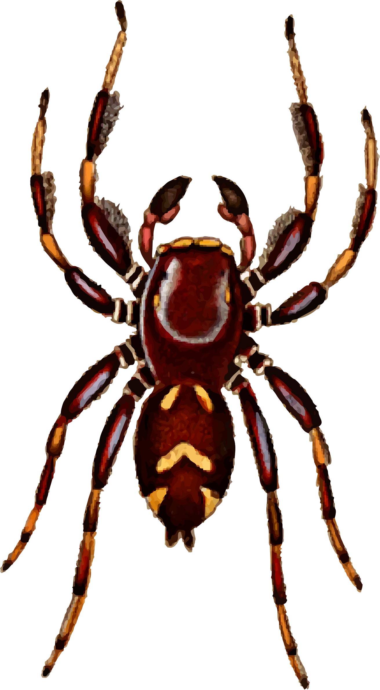 Spider Clipart Jumping Spider - Clip Art - Png Download - Full Size ...