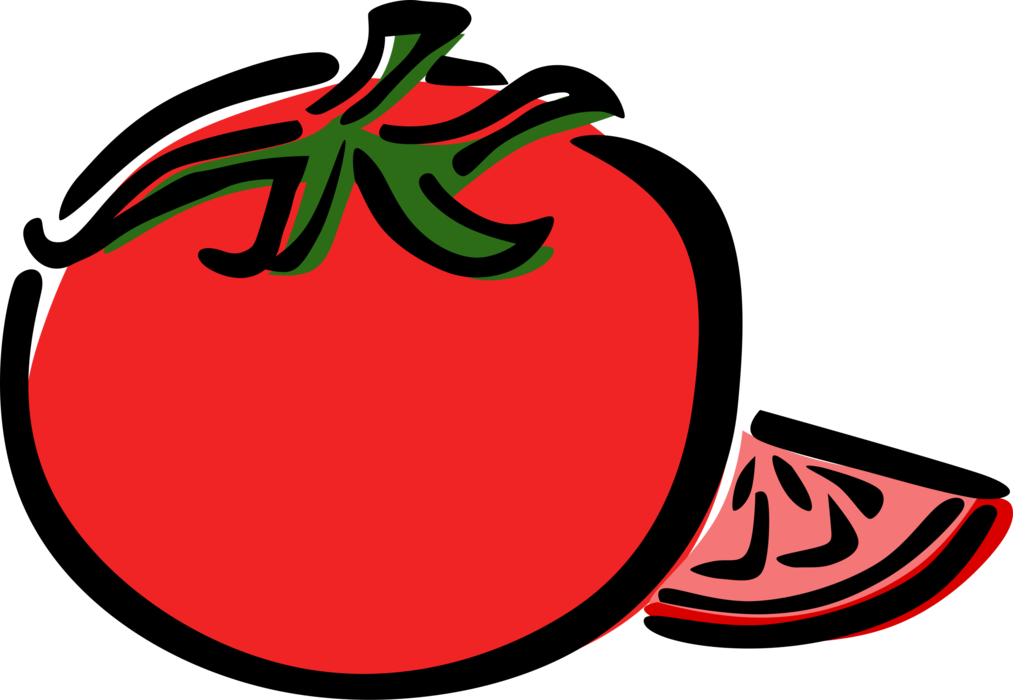 Download Vector Illustration Of Tomato Edible Culinary Vegetable ...