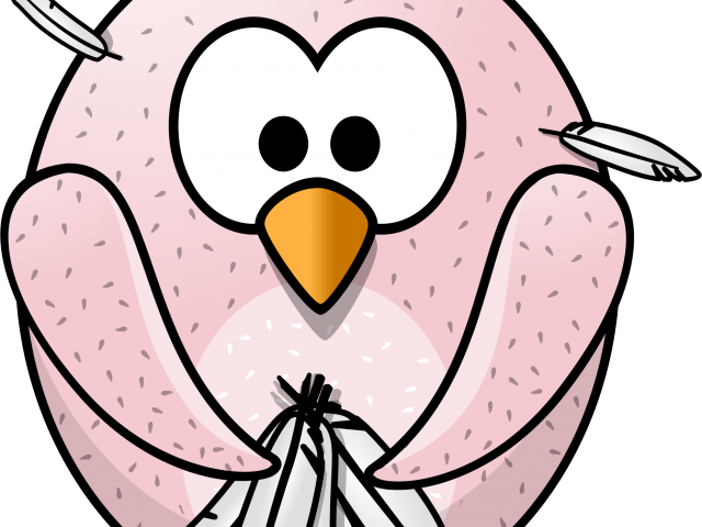 Turkey Bird Clipart Sad - Birds No Feathers Cartoon - Png Download ...