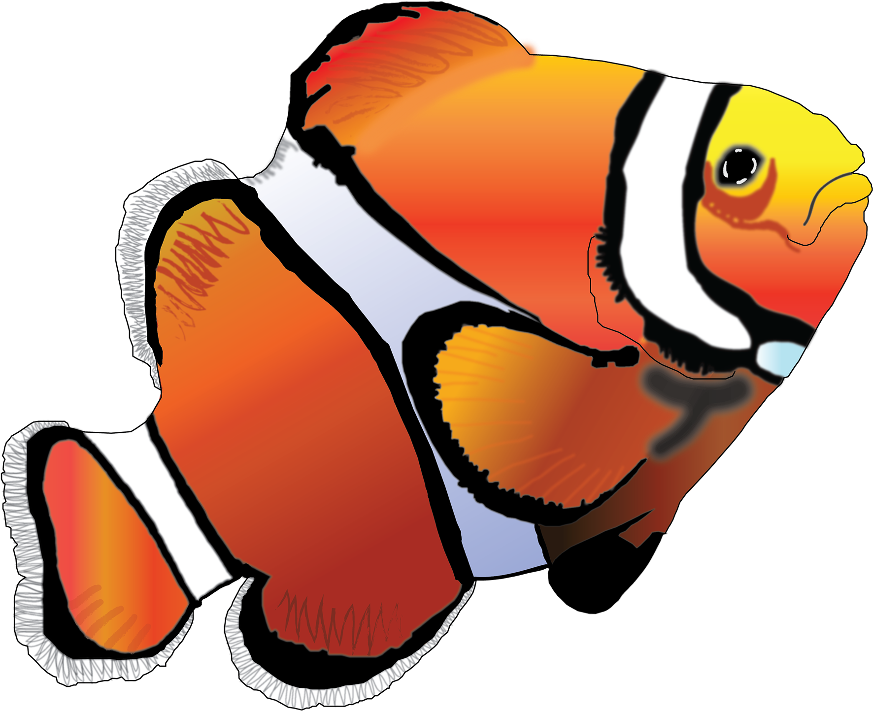 Clown Fish Clipart - Full Size Clipart (#3481377) - PinClipart