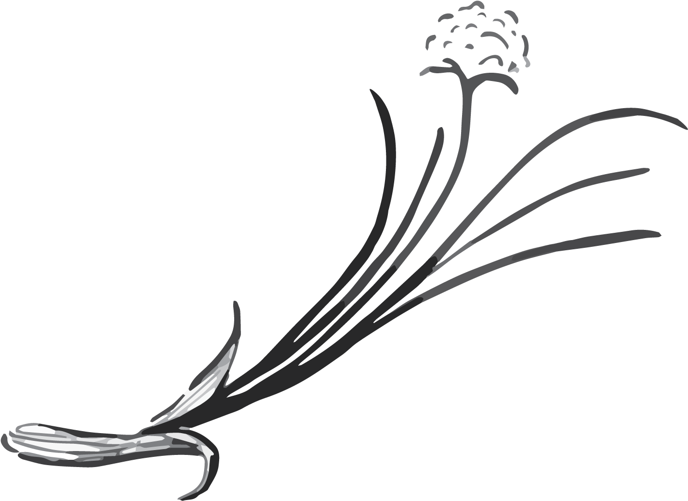 April - Chives - Line Art Clipart - Full Size Clipart (#3488172 ...