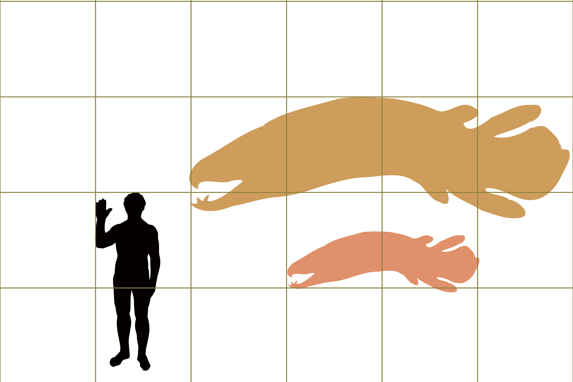 Open - Onychodus Clipart - Full Size Clipart (#3497484) - PinClipart