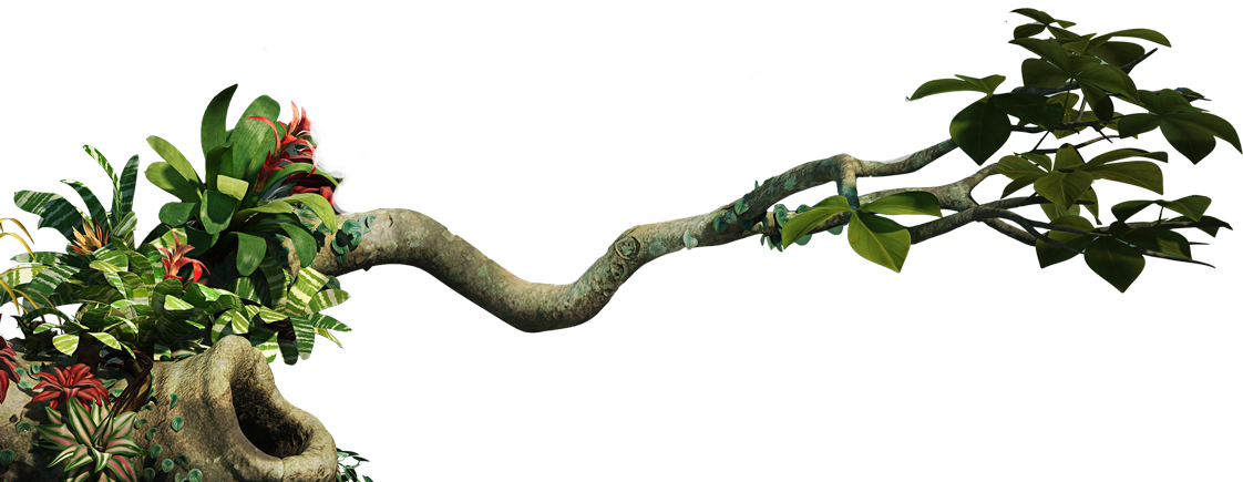 Branch Clipart Jungle Tree Branch - Jungle Png Transparent Png - Full ...