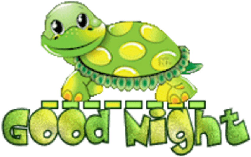 Free Png Download Good Night - Tortoise Clipart Transparent Png - Full ...