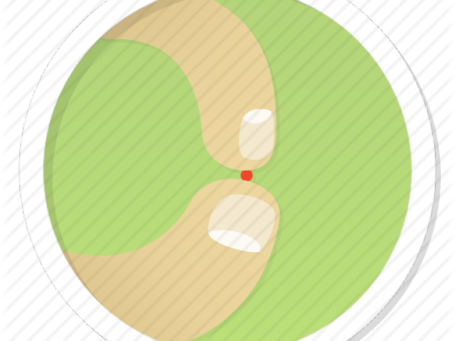 Hand Gesture Clipart Little Bit - Circle - Png Download - Full Size ...