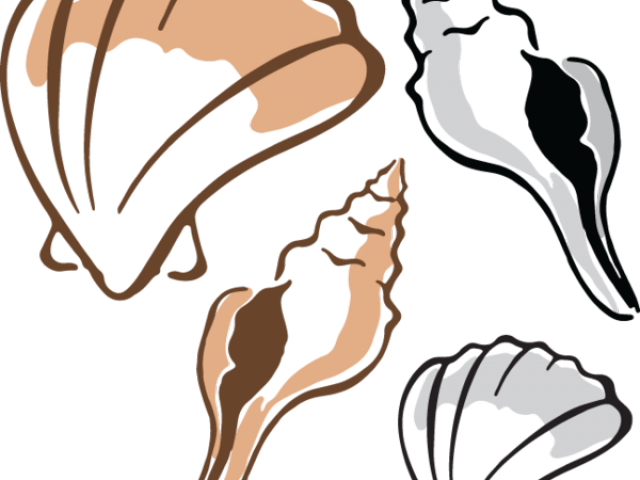 Clams Clipart Shell Fish - Clip Art - Png Download - Full Size Clipart ...