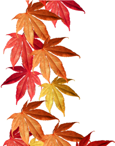 Download Maple Leaf Clipart Lef - Autumn Leaves Border Png Transparent ...