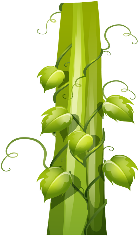 Beanstalk - Illustration Clipart - Full Size Clipart (#3582319) - PinClipart