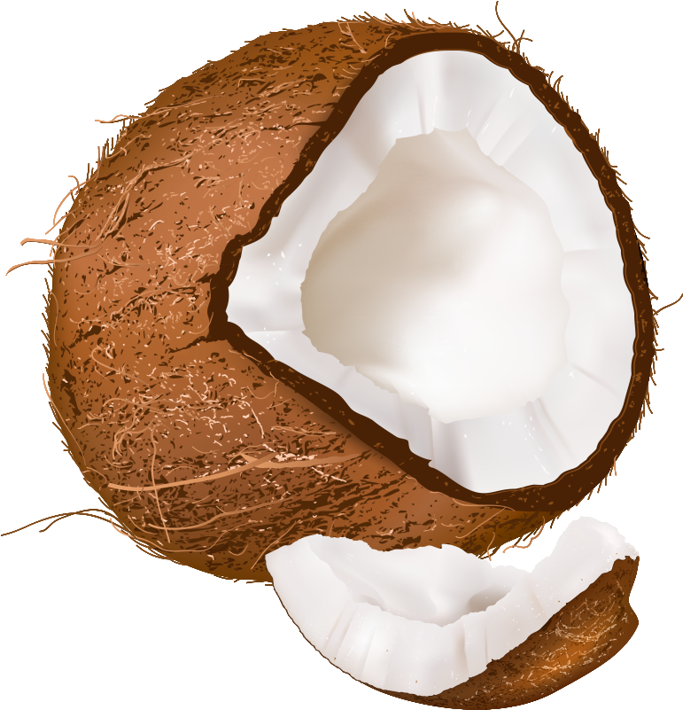 Coconut Clipart Clear Background - Coconut Clipart Transparent ...