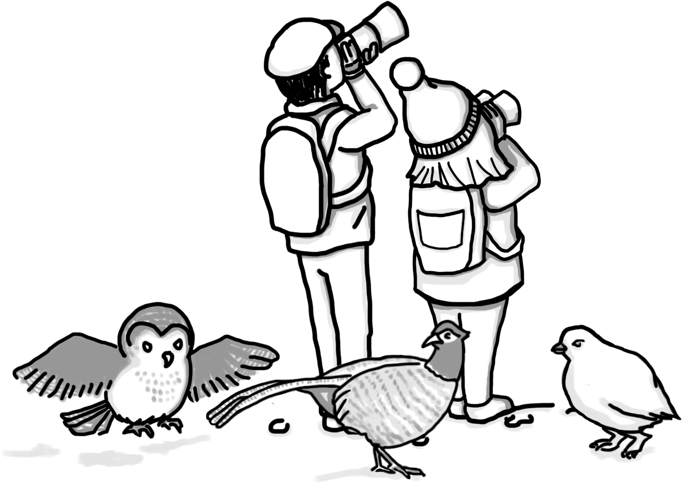 Back To Essentials - Cartoon Clipart - Full Size Clipart (#3616279 ...