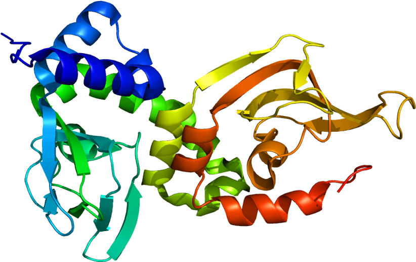 Protein Prkar1a Pdb 1ne4 Clipart - Full Size Clipart (#3644117 ...