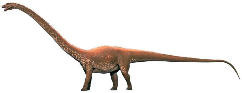 Diplodocus Transparent Background - Diplodocus Png Clipart - Full Size ...