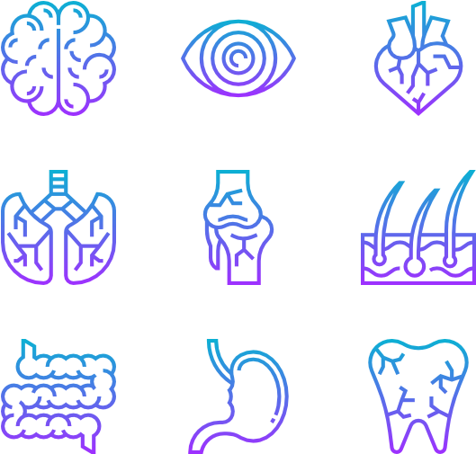 Human Organs Clipart - Full Size Clipart (#3678015) - PinClipart