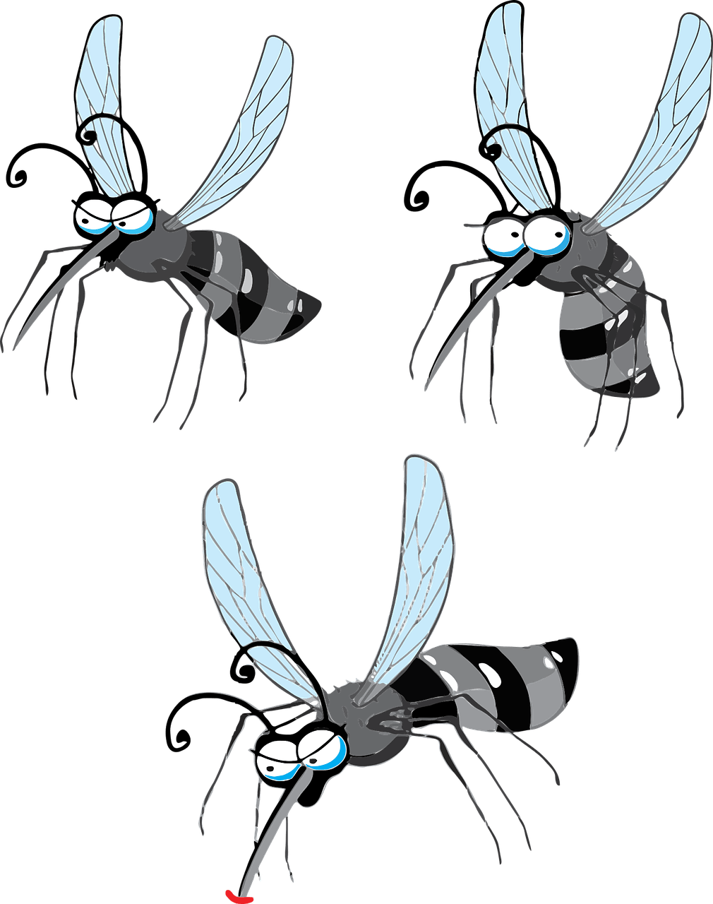 Midges - Cartoon Flying Mosquito Png Clipart - Full Size Clipart ...