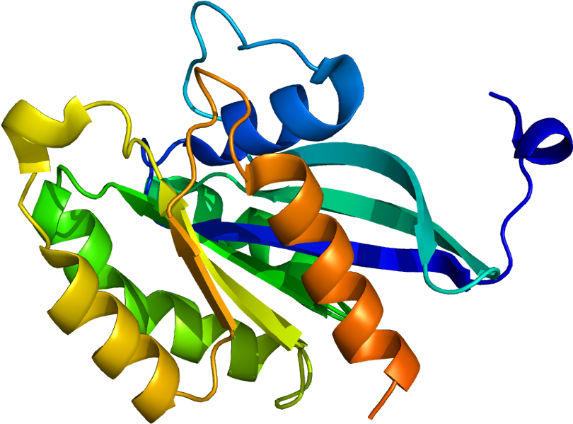 Protein Rab4a Pdb 1yu9 - Graphic Design Clipart - Full Size Clipart ...
