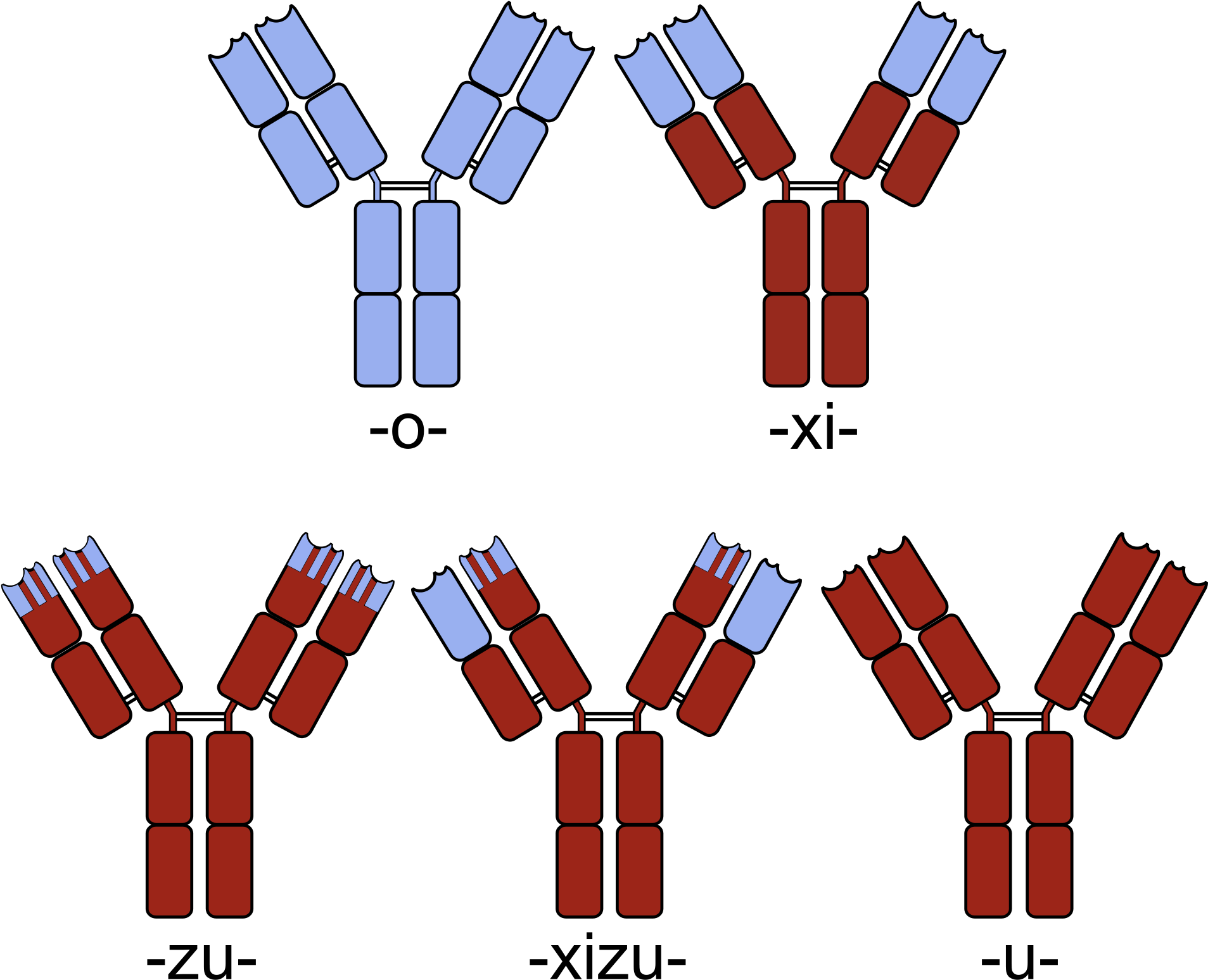 Download Open - Chimeric Antibody Clipart (#3707542) - PinClipart