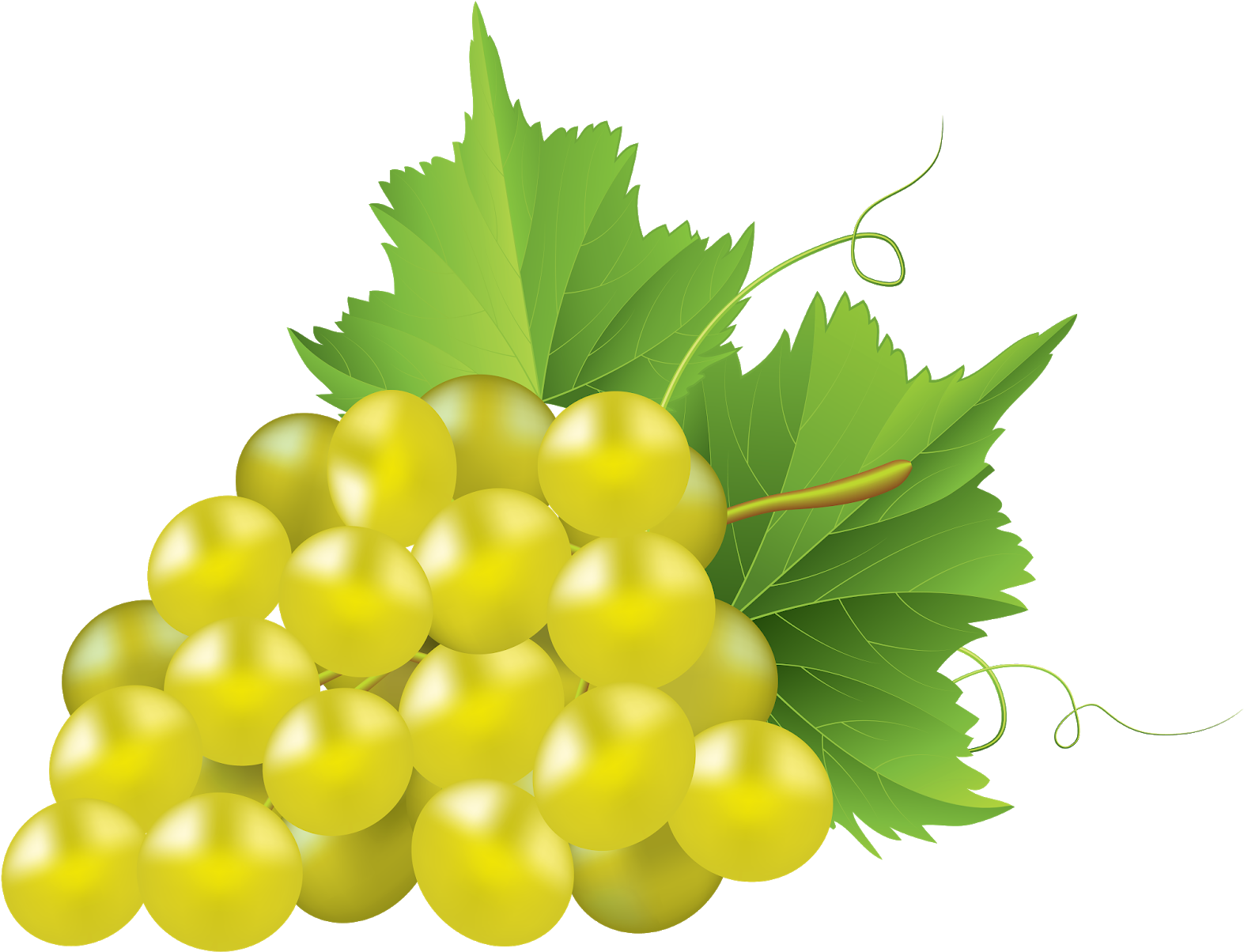 Grape Clip Art - White Grape Png Transparent Png - Full Size Clipart ...