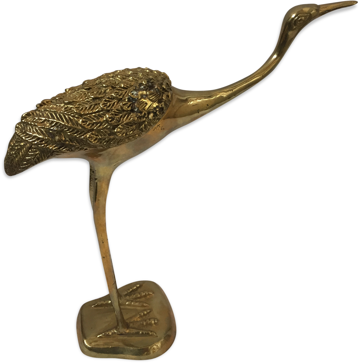 Limpkin Clipart - Full Size Clipart (#3751399) - PinClipart