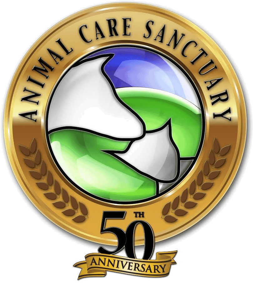 Emblem Clipart - Full Size Clipart (#3758872) - PinClipart