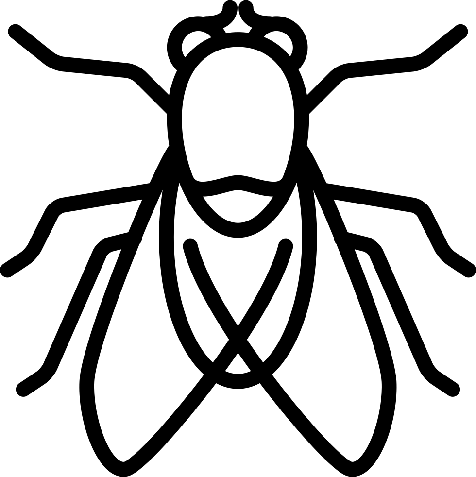 Png File Svg - Draw A Fly Clipart - Full Size Clipart (#3772235 ...