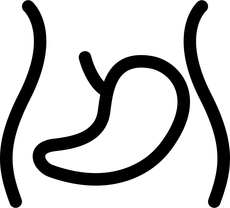 Png File Svg - Abdomen Icon Clipart - Full Size Clipart (#3774744 ...