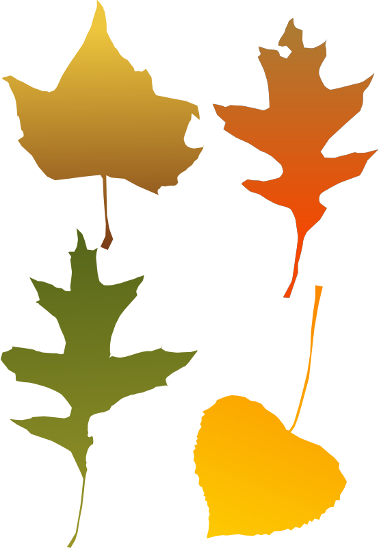 Clip Art - Autumn Leaf Clip Art - Png Download - Full Size Clipart ...