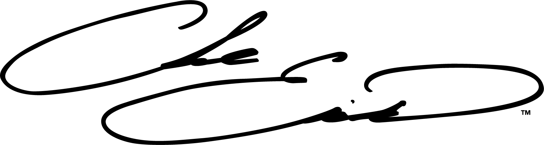 Chase Elliott #9 Logo Clipart - Full Size Clipart (#3809670) - PinClipart