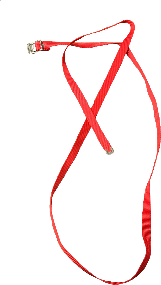 Nylon Strap Red 5 Ft Clipart - Full Size Clipart (#3814975) - PinClipart